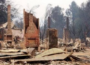 The Habitat Advocate » Blog Archive Victorian Bushfires: CFA ill ...