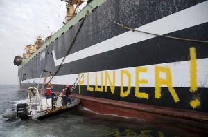 The Habitat Advocate » Blog Archive Fairy Penguins v FV Margiris in ...