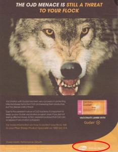The Habitat Advocate Gray Wolf's Recovery Archives - The Habitat Advocate