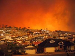 The Habitat Advocate 2003 Canberra Firestorm Archives - The Habitat ...
