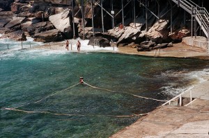 The Habitat Advocate Wylie's Baths Octopus Archives - The Habitat Advocate